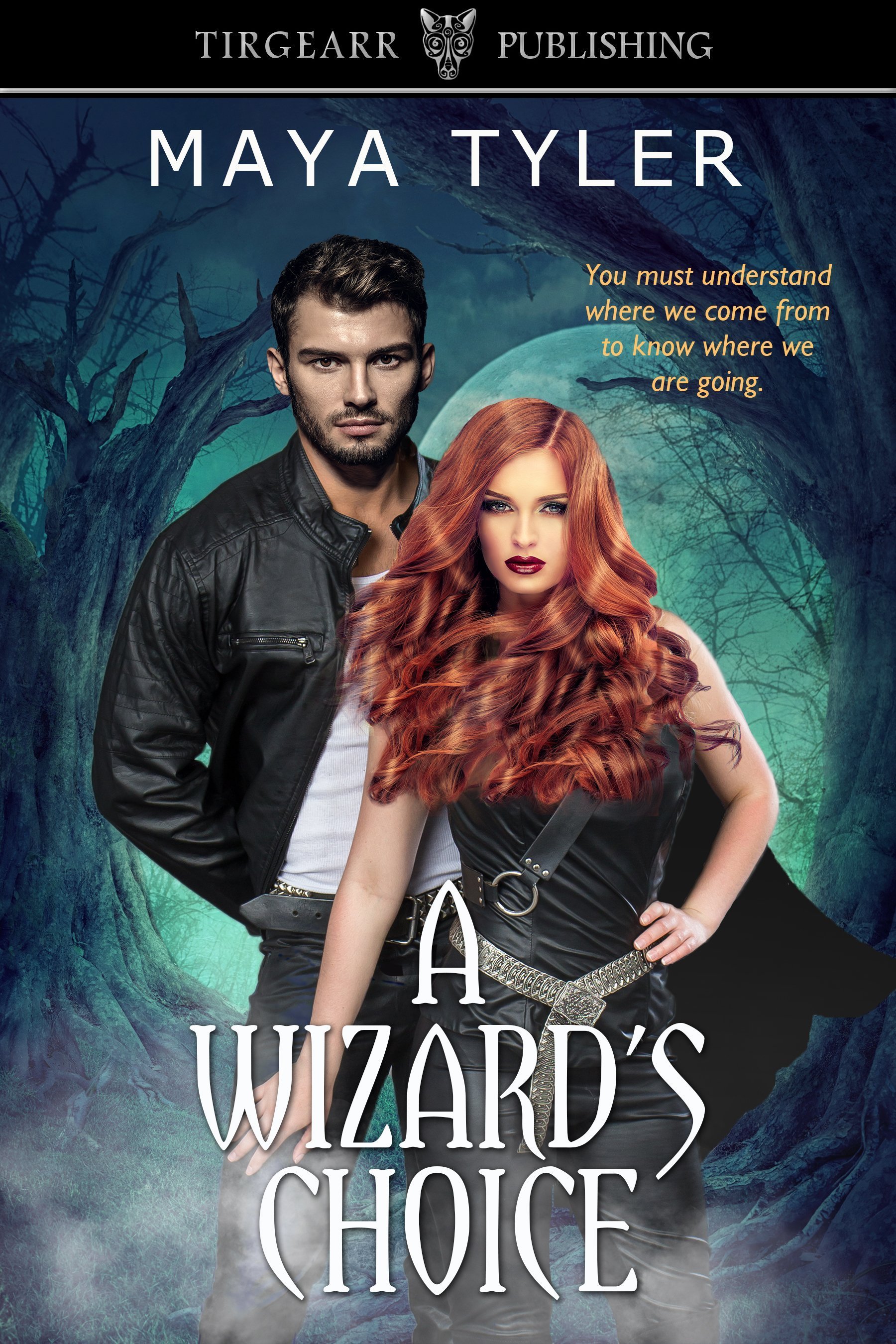 A Wizard’s Choice by Maya Tyler - christineyoungromancewriter.com