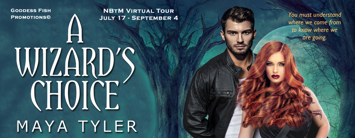 A Wizard’s Choice by Maya Tyler - christineyoungromancewriter.com