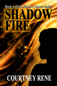 Shadow Fire #YA #Paranormal - christineyoungromancewriter.com