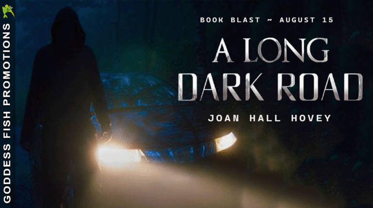 THE LONG DARK ROAD by Joan Hall Hovey - christineyoungromancewriter.com